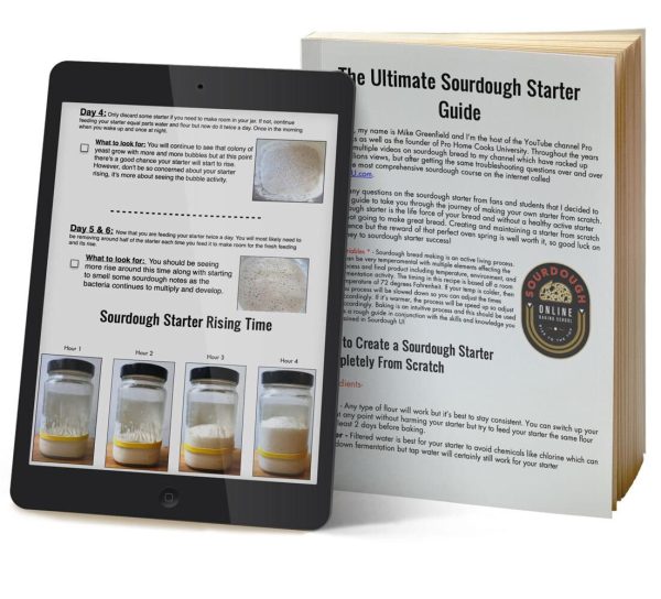 Sourdough Starter Opt-In Page - Pro Home Cooks by Mike Greenfield