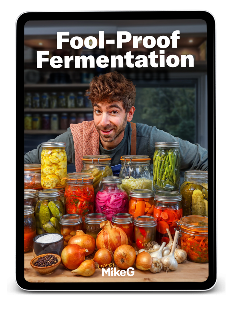 The Fool-Proof Fermentation System by Mike Greenfield